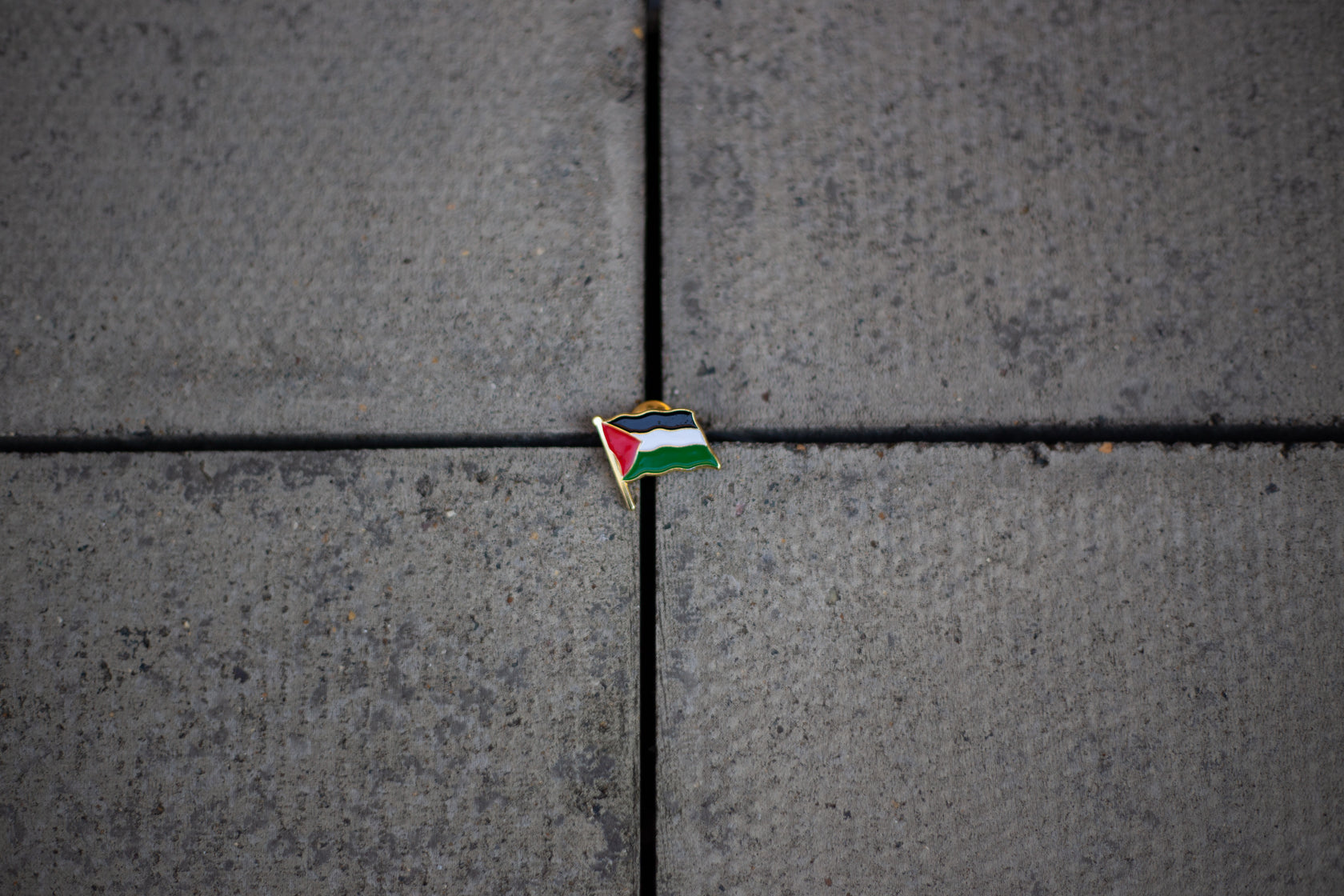 Palestine Flag Enamel Pin Badge – Palestine Solidarity Campaign
